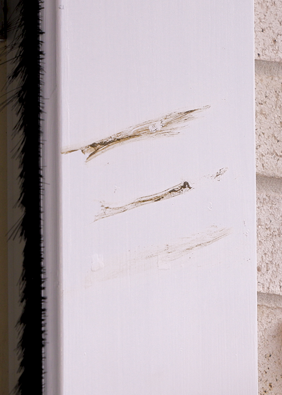 DIGGERS™ Wall Cleanup - Diggers Australia