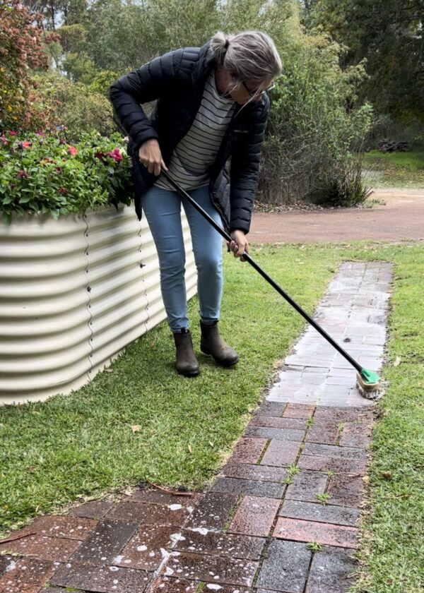 Clean your pathways with DIGGERS™ Driveway Cleanup - no pressure hose ...